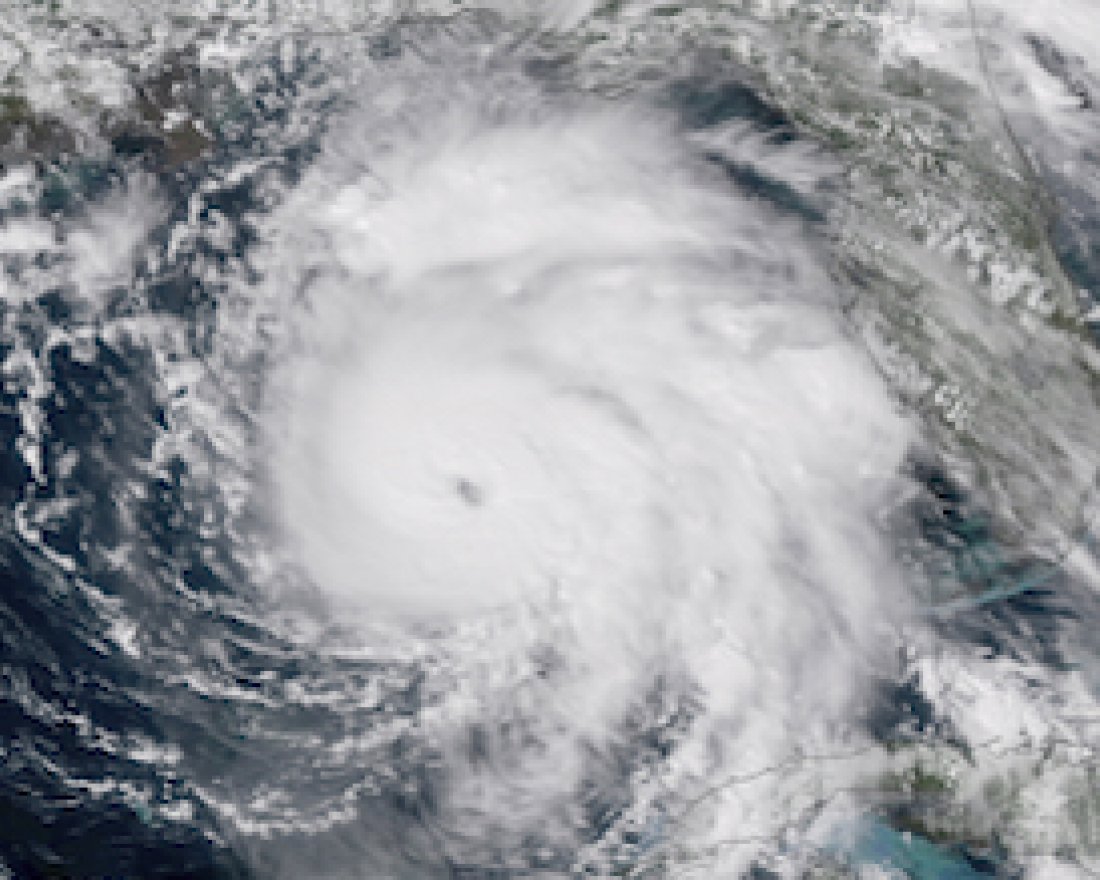 Hurricane Resources & Relief | NEA