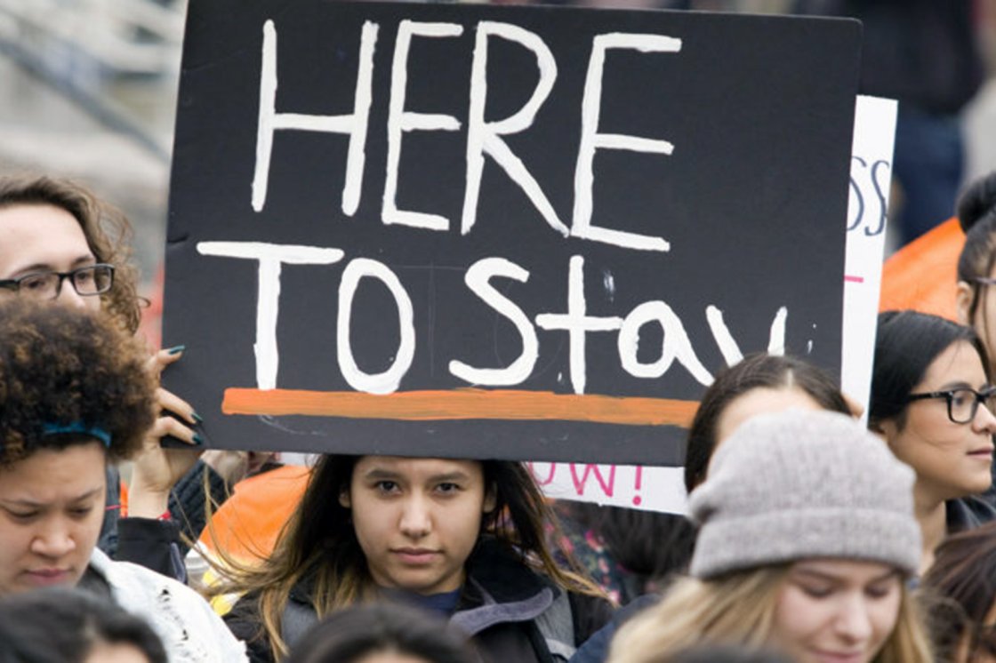 Immigration Justice | NEA