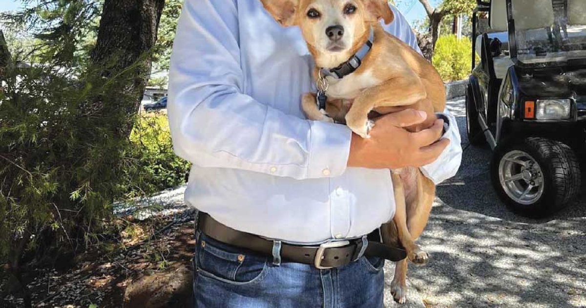 Answering Students’ Call—Again | NEA